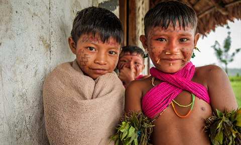 Die Yanomami